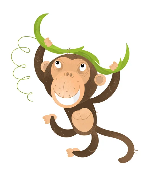 Cartoon Scene Monkey White Background Illustration Children Stock ...