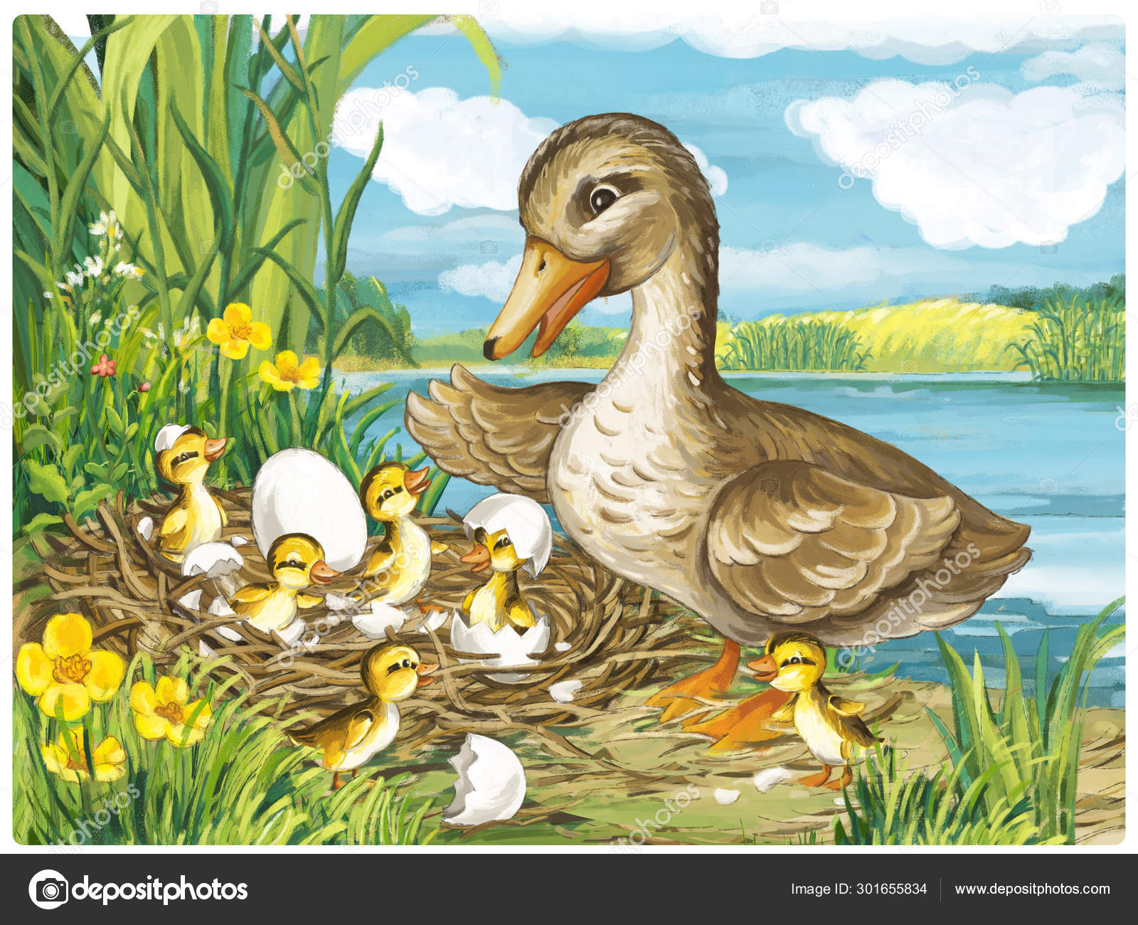 Cartoon Scene Ducks Nature Scene Illustration Children Stock ...