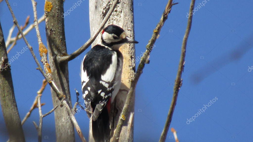 Esta foto fue tomada en una cámara Canon PowerShot SX 420 IS en el ...