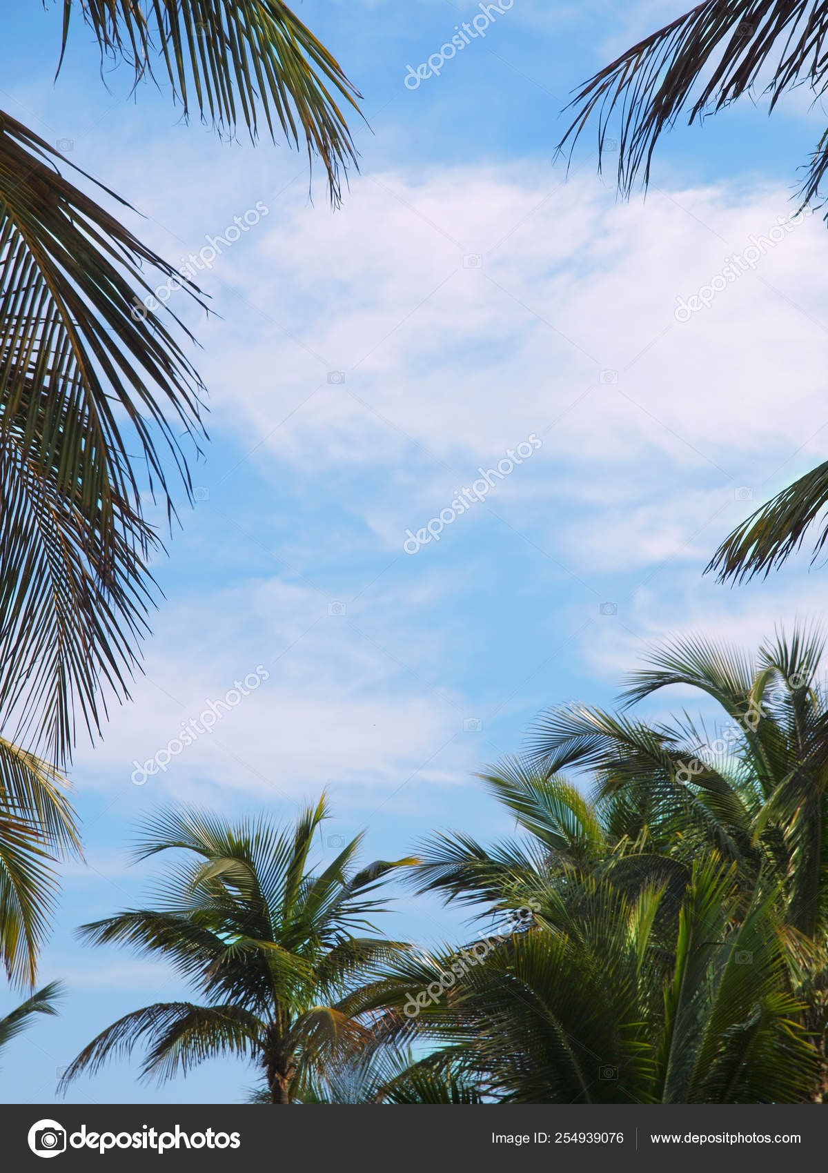 Tropical frame — Stock Photo © pr2is #254939076