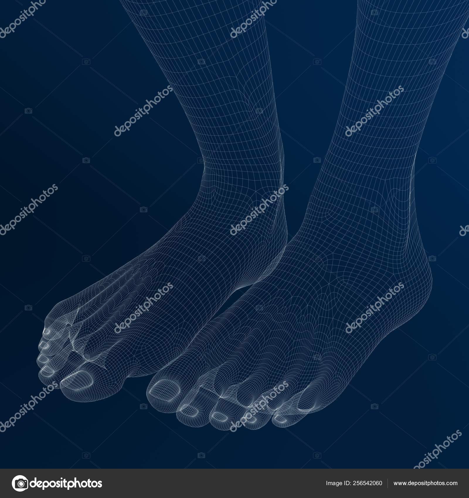 Rendering Female Feet Blue Background — Stock Photo © Andrus_Ciprian ...