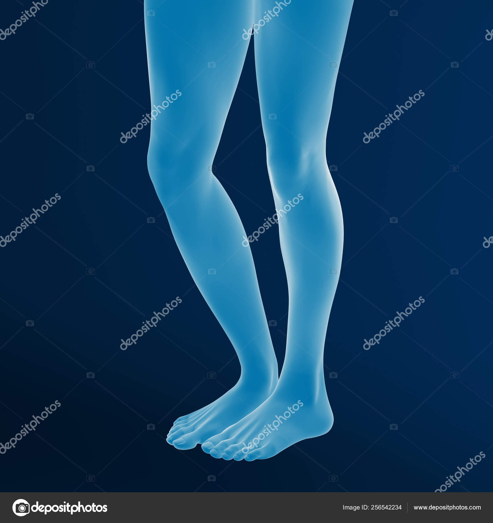 Rendering Female Feet Blue Background — Stock Photo © Andrus_Ciprian ...