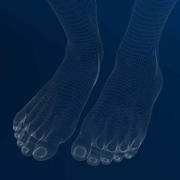 Plantillas de pie Stock Photos, Royalty Free Plantillas de pie Images ...
