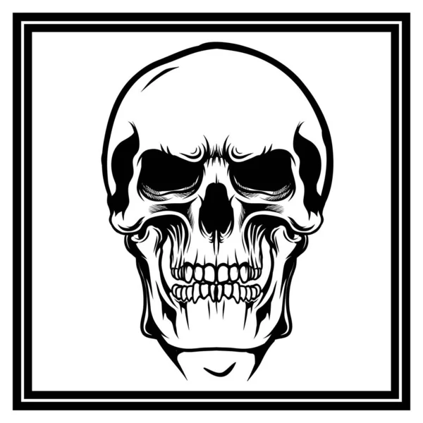 Koponya rajz Stock fotók, Koponya rajz Jogdíjmentes képek | Depositphotos