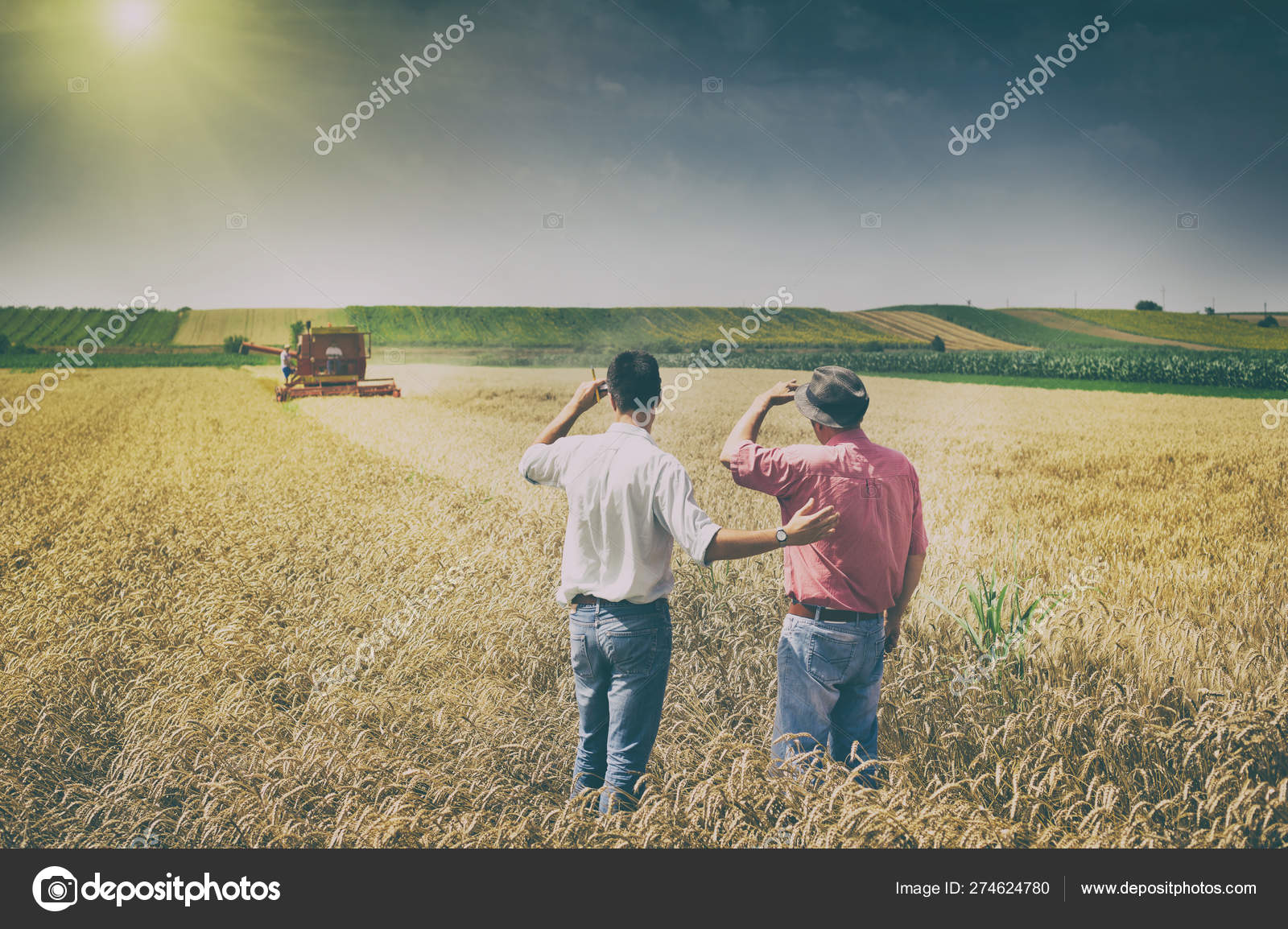 People at harvest Stock Photo by ©budabar 274624780