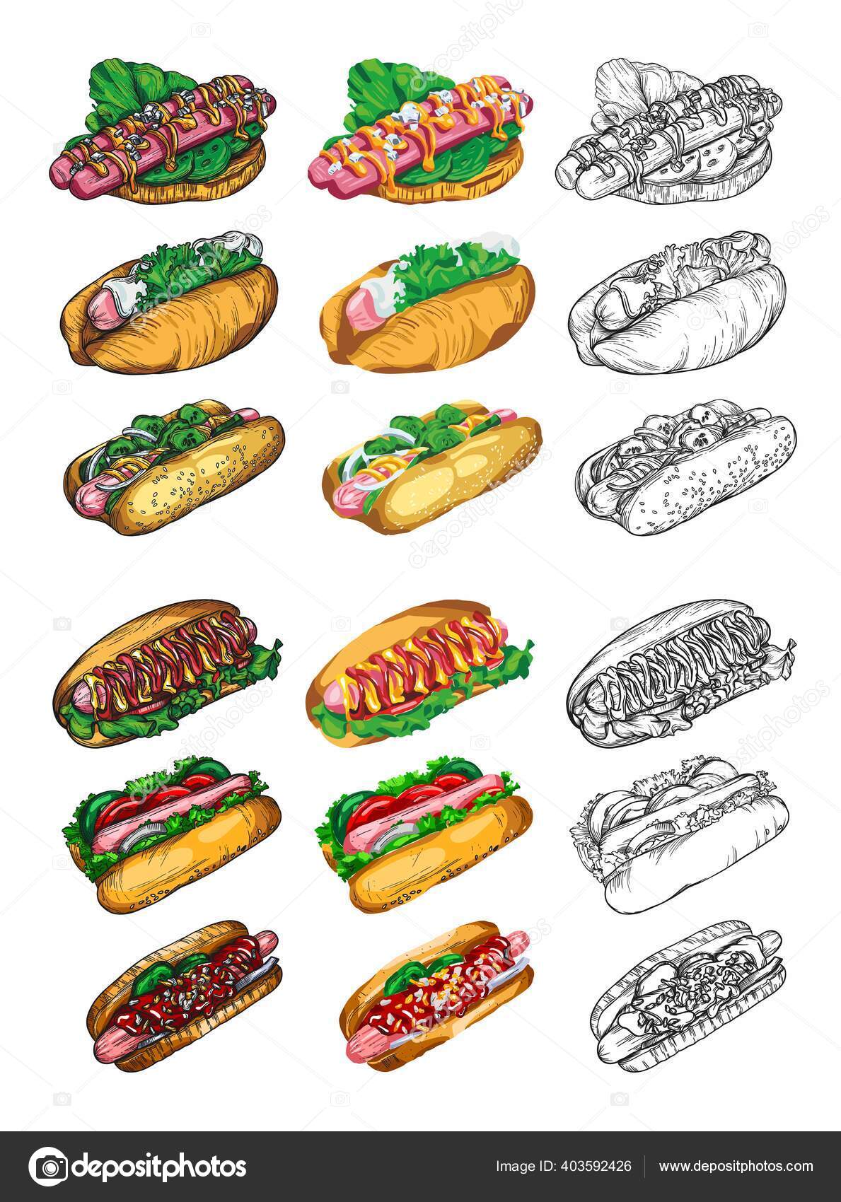 Large Set Hot Dog Sketches Artline Style High Drawing Details Stock ...