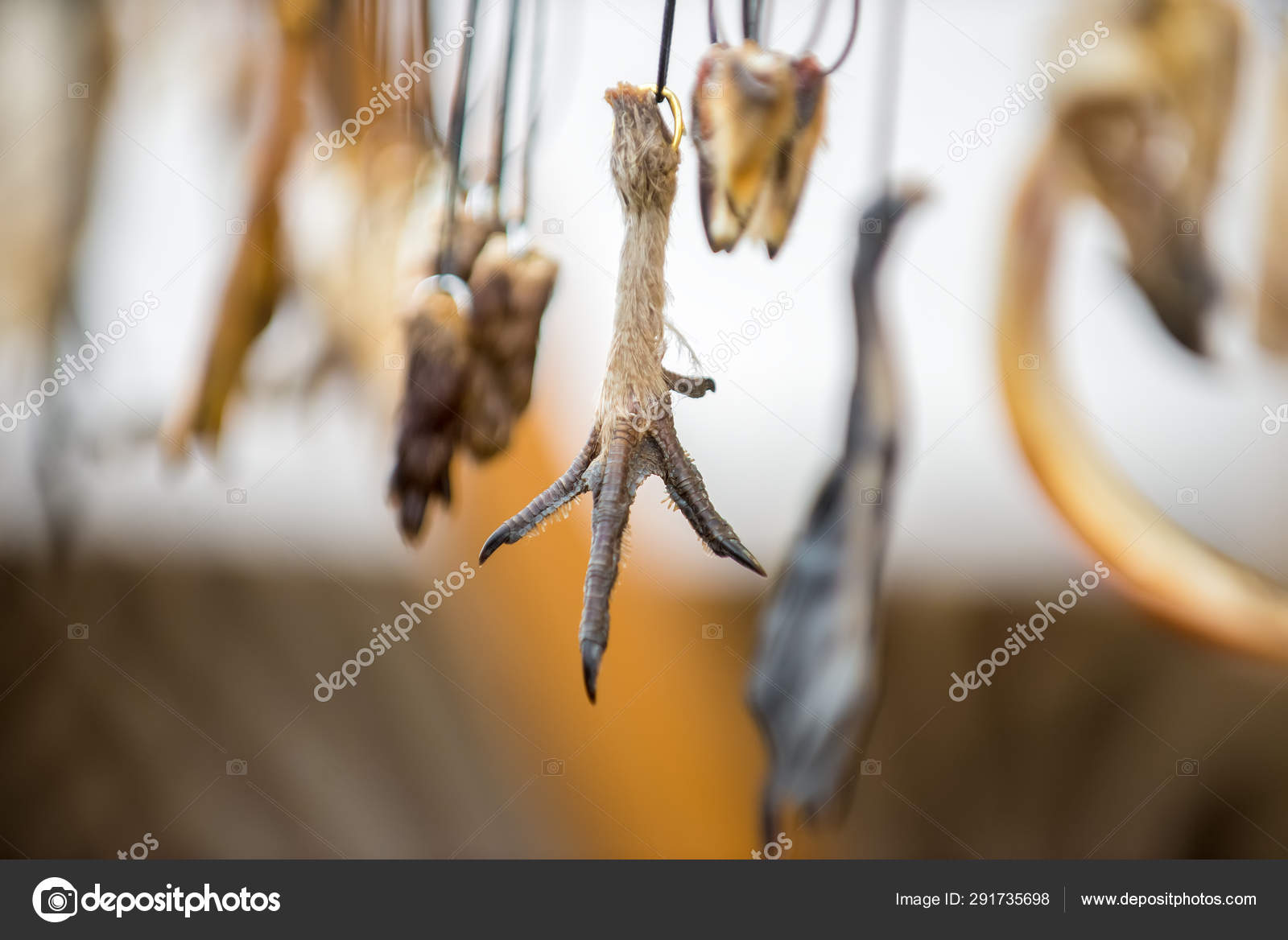 Magic amulets from paws and teeth of animals hang on laces on the stand ...