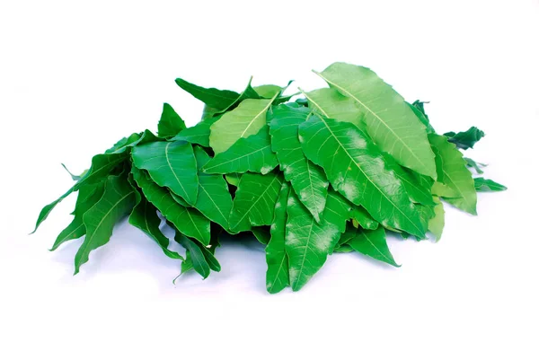 Скачать картинки Senthil leaf shop, стоковые фото Senthil leaf shop в ...