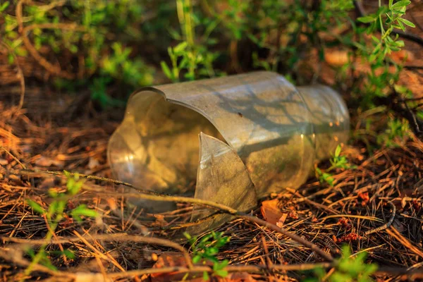 Waste in nature Images - Search Images on Everypixel