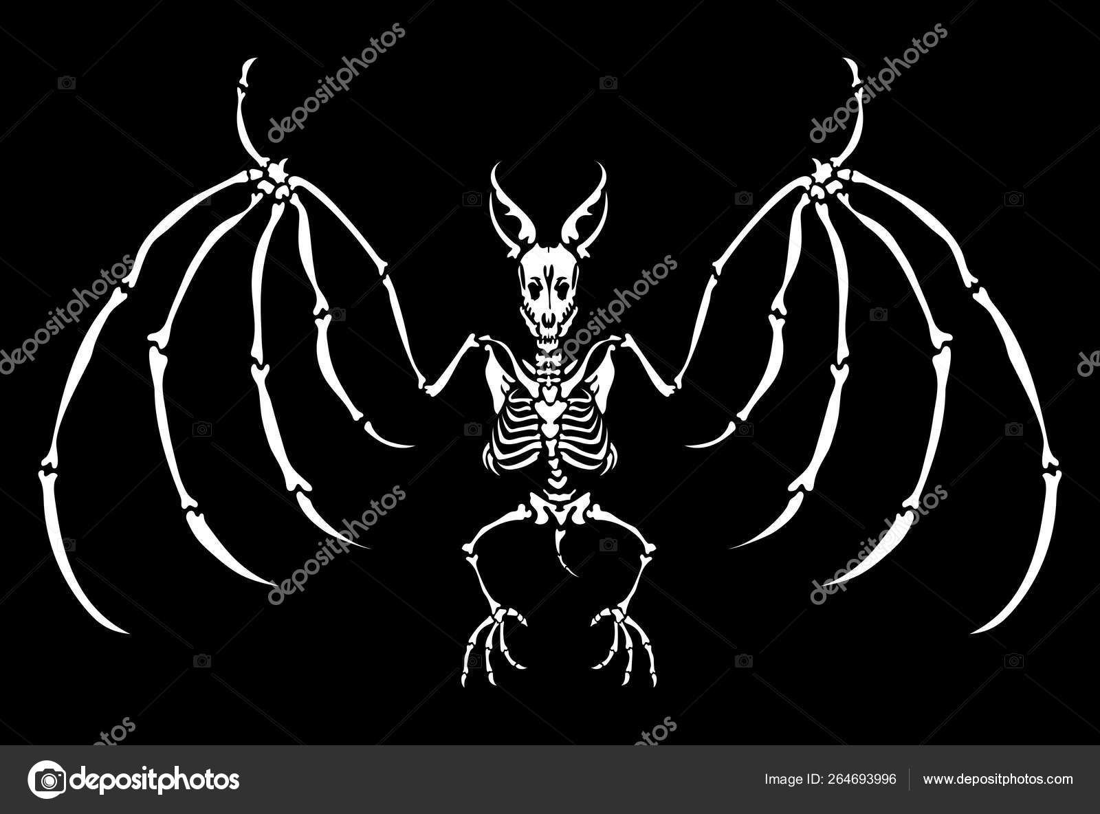 Vampire Bat Skeleton Tattoo