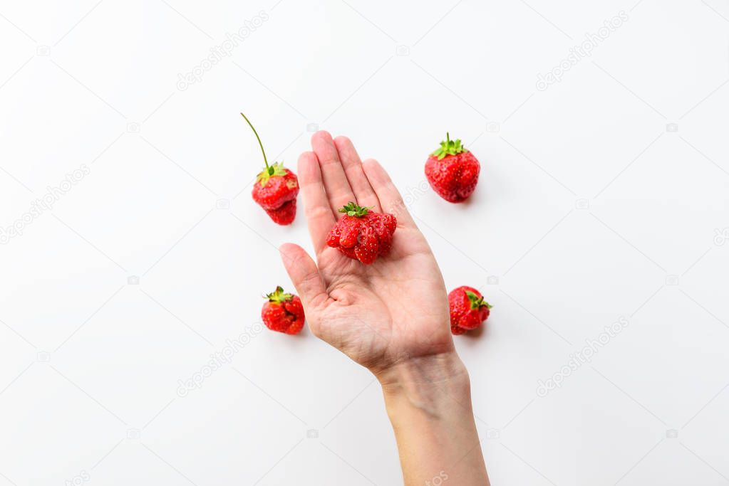 Fea fresa en la mano del hombre sobre fondo blanco. 2023