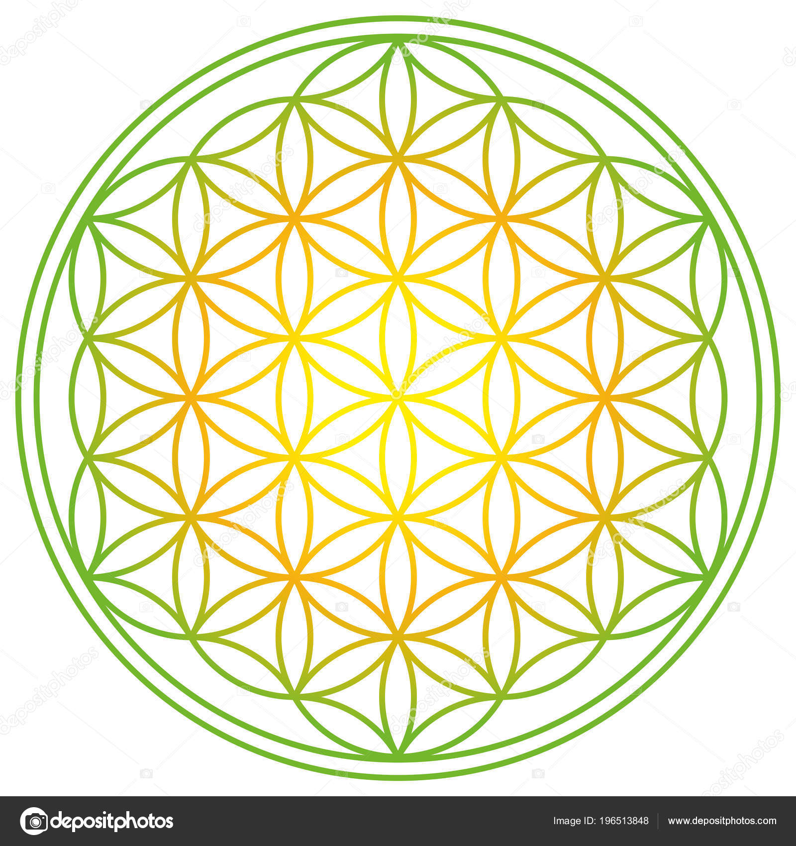 Flower Life Spring Energy Colors Geometrical Figure Spiritual Symbol ...