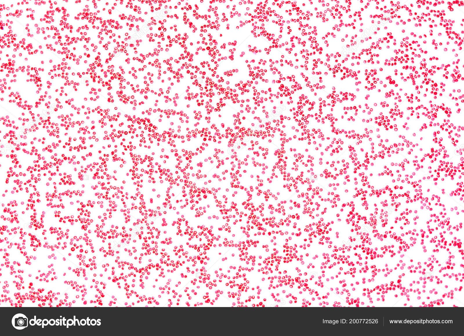 Human Blood Cells Microscope Magnified Smear Red Blood Cells Blood ...