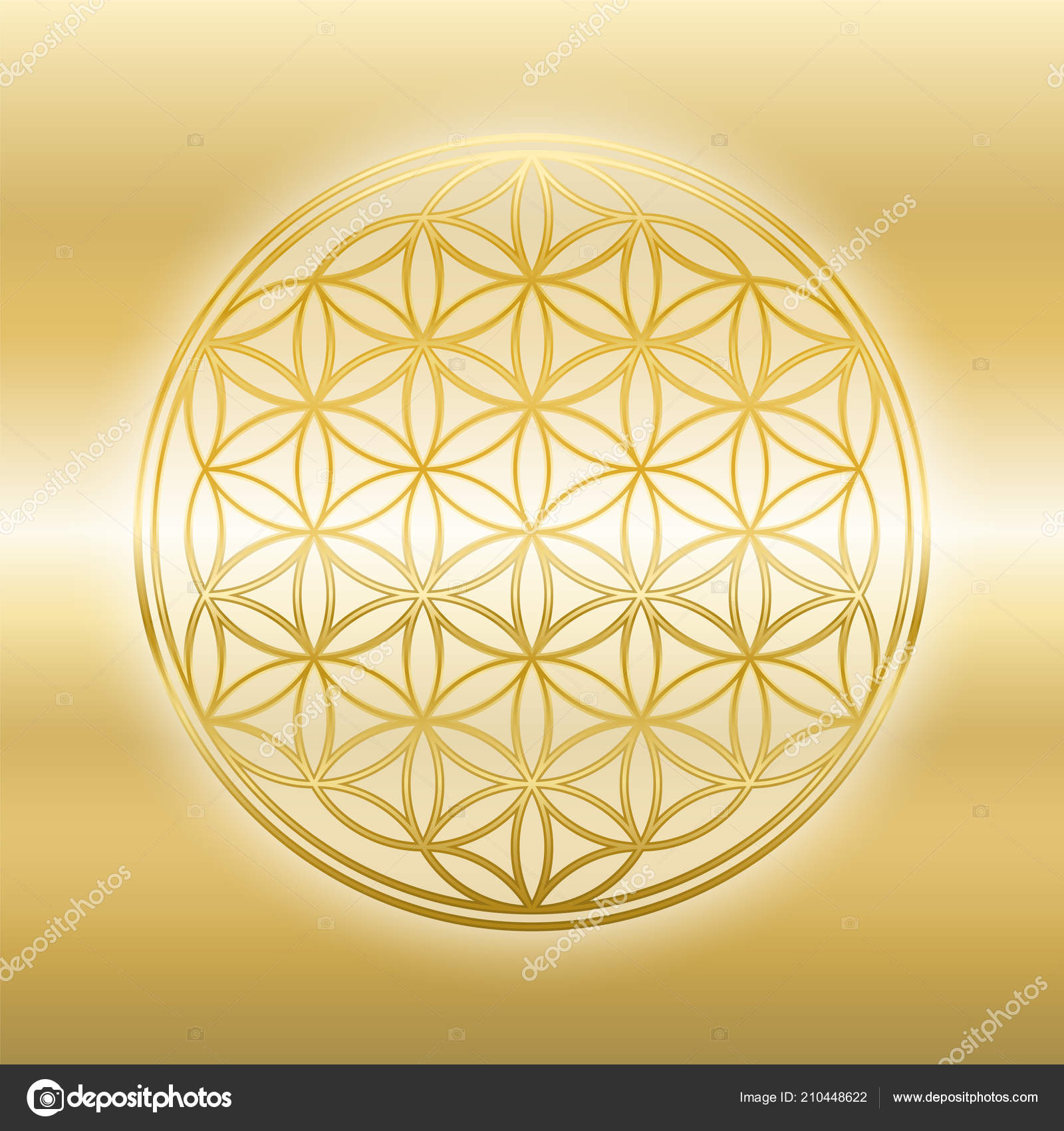 Golden Flower Life Gleaming Glossy Gold Symbol Golden Background Stock ...