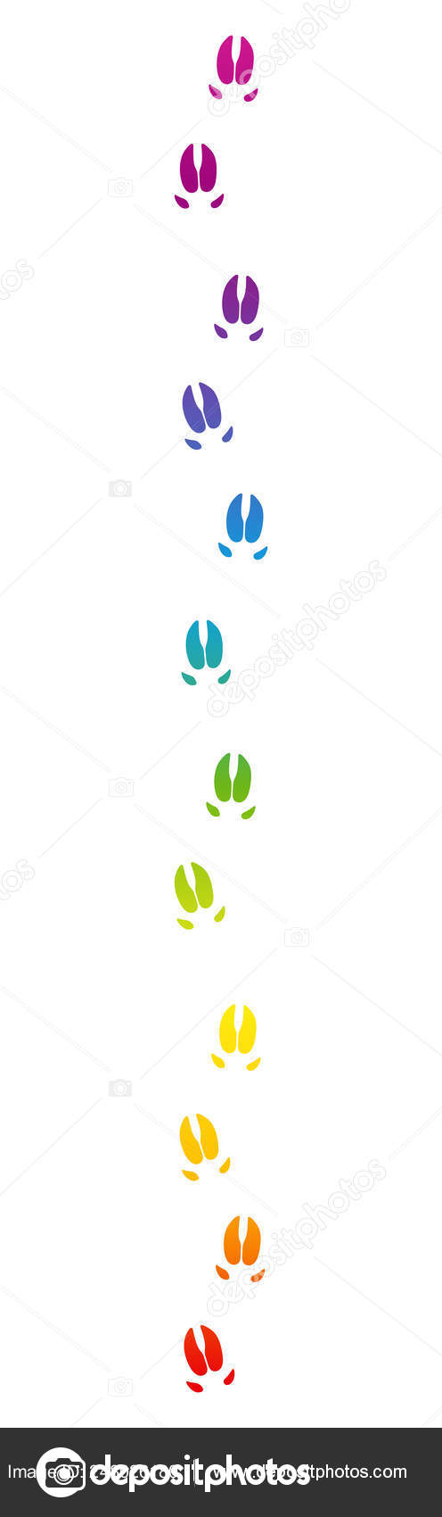 Pig Tracks Rainbow Colored Footprints Stock Vector Image by ©Furian ...