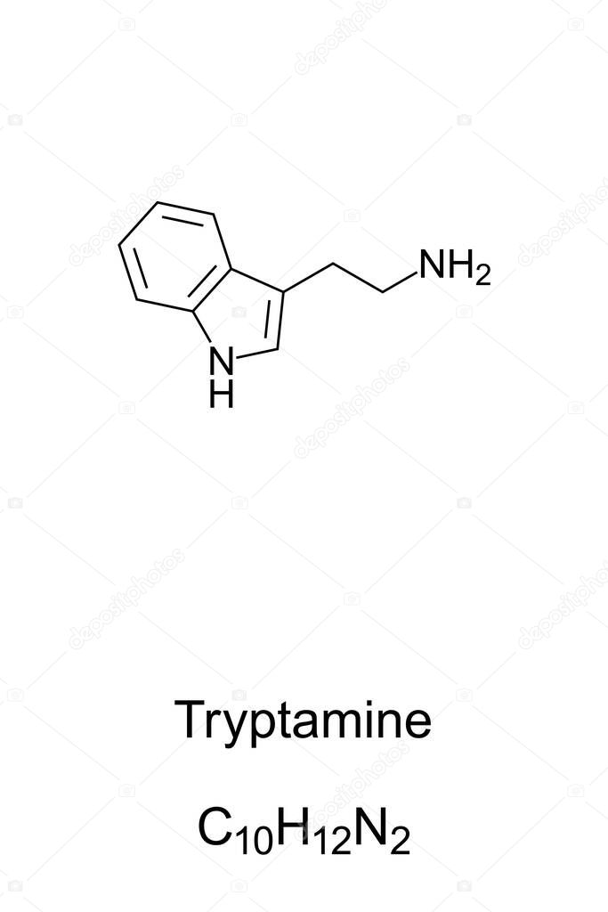 Triptamina. Fórmula esquelética y estructural. Se encuentra en ...