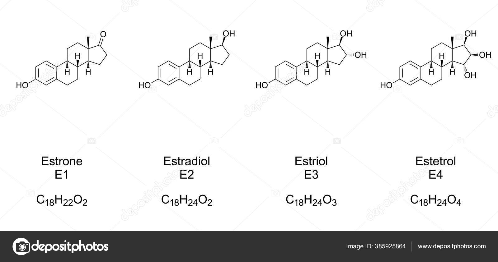 Major Endogenous Estrogens Chemical Structures Estrone Estradiol ...