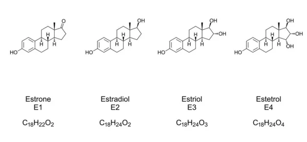 Estrógenos endógenos mayores. Estructuras químicas de Estrona (E1), Estradiol (E2), Estriol (E3 ...