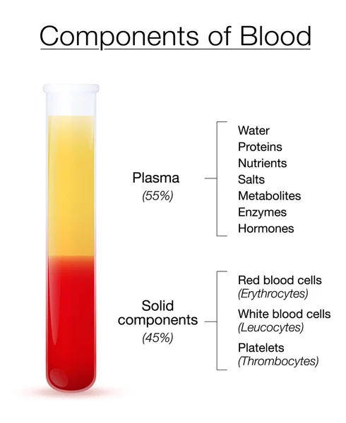 Isotonic Hypotonic Hypertonic Solutions Effects Animal Cells Tonicity ...