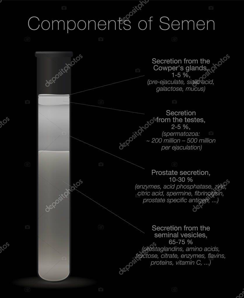 Semen en un tubo de ensayo. Componentes de la carta de esperma ...