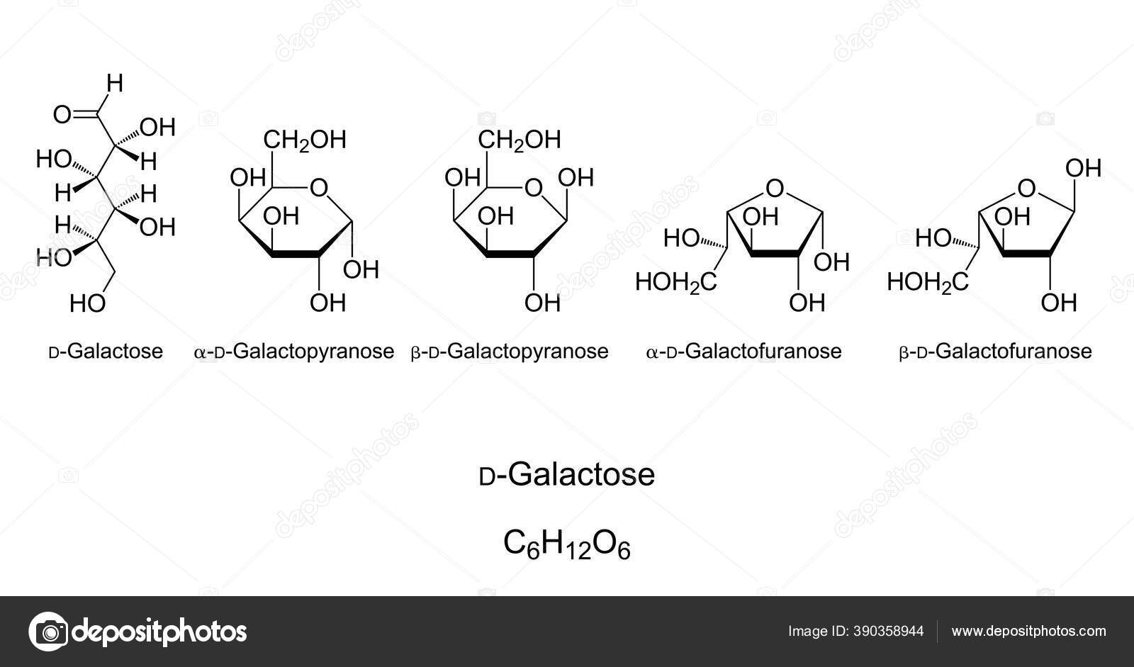 Structure Of Galactose And Fructose