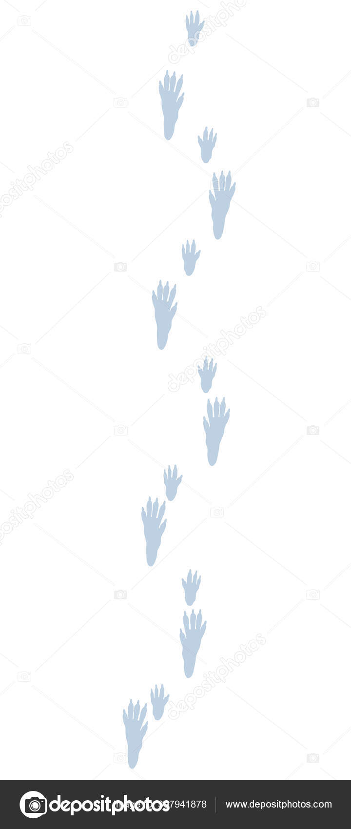 Pegadas De Rato De Pes Brancos Fotos De Ratos Pes Brancos Baixe