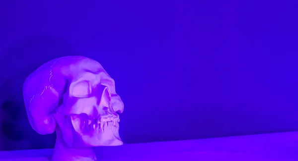 Skull in shadow Stock Photos, Royalty Free Skull in shadow Images ...