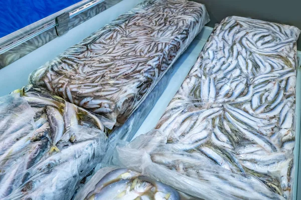 Fish in an industrial refrigerator. Implementation of seafood. Food ...