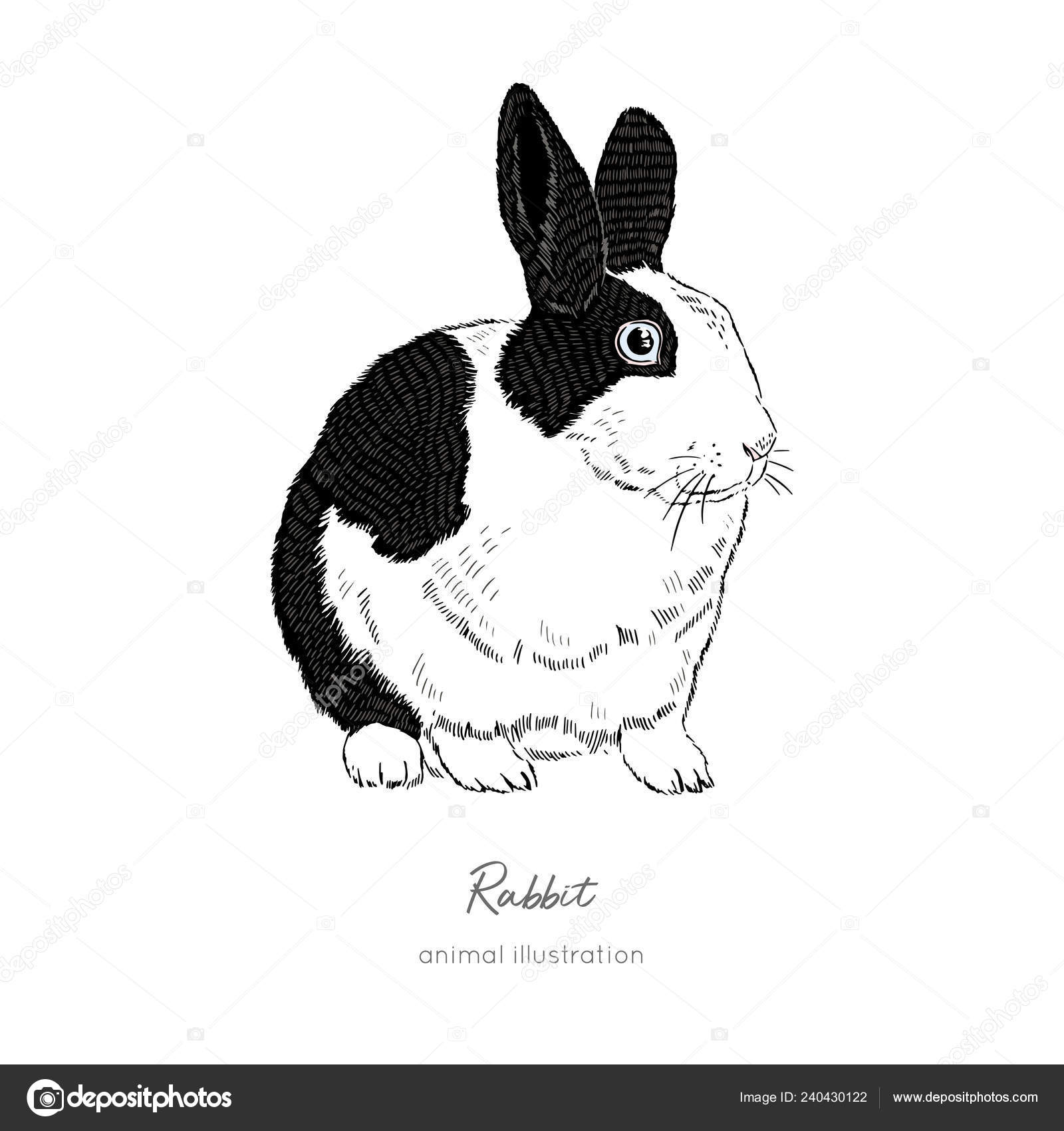 Rabbit Farm Logo