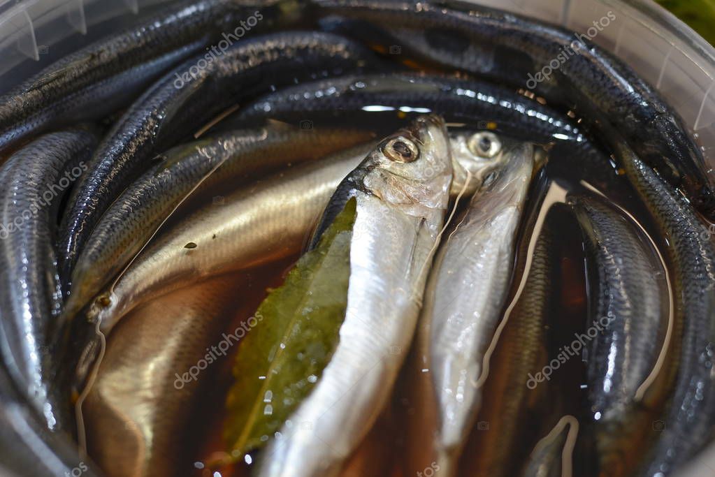 Arenque salado en salmuera picante, de cerca. 2023