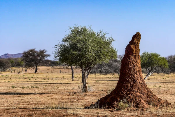 Termite mounds Stock Photos, Royalty Free Termite mounds Images ...