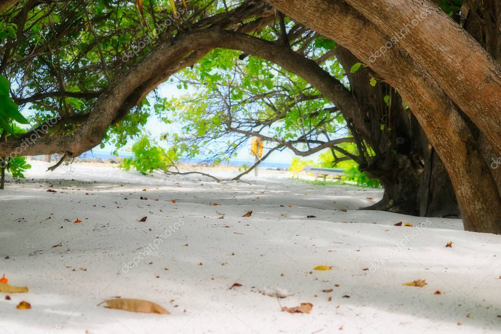 Esta imagen única muestra la playa natural en una isla de las Maldivas ...