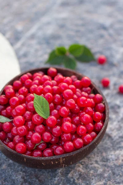 Manchu cherry Stock Photos, Royalty Free Manchu cherry Images ...