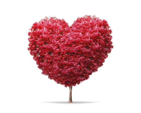 Tree heart Stock Photos, Royalty Free Tree heart Images | Depositphotos