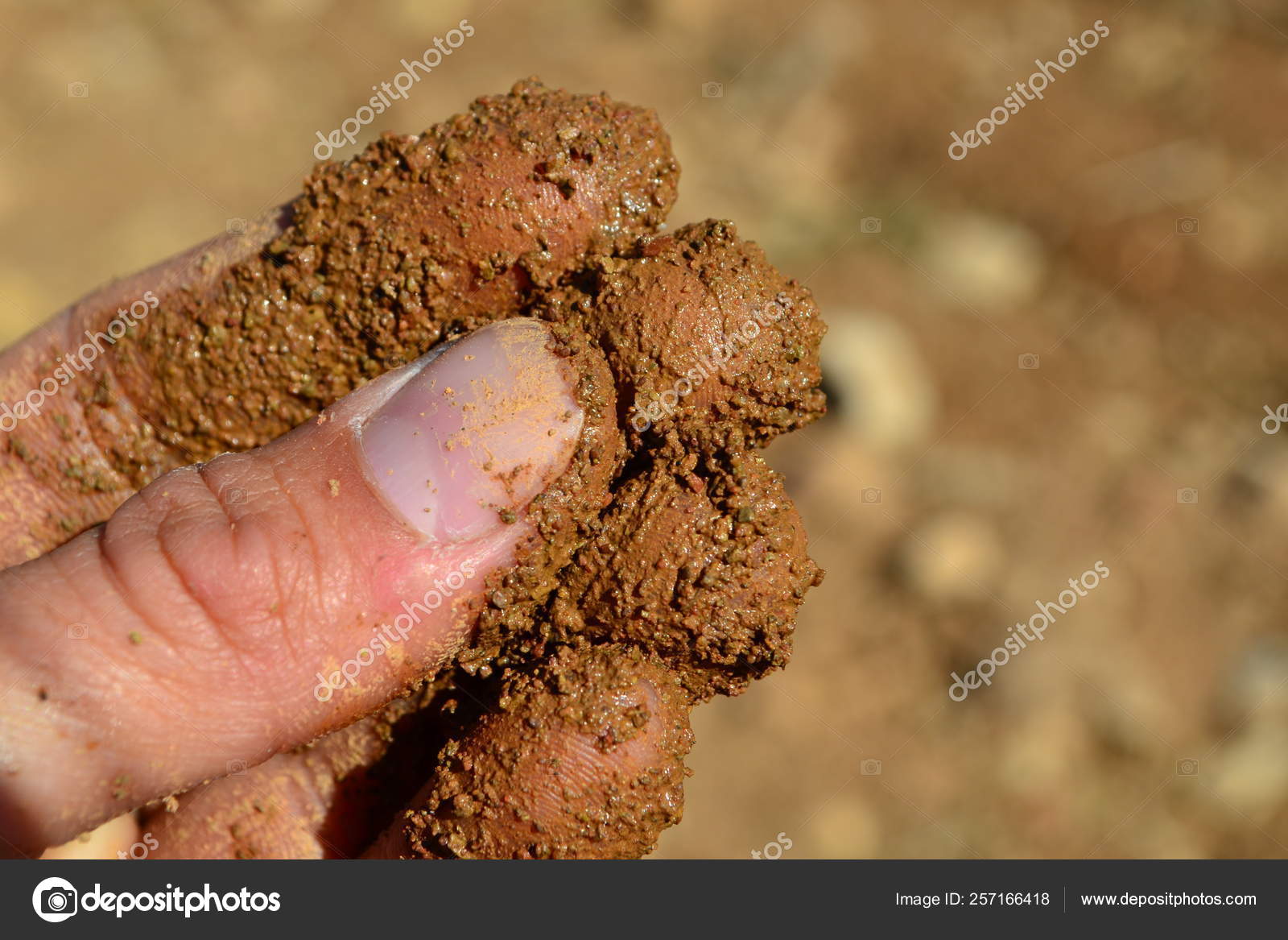 Fingers Rubbing Soil Feeling Texture Stock Photo by ©RyanDK 257166418