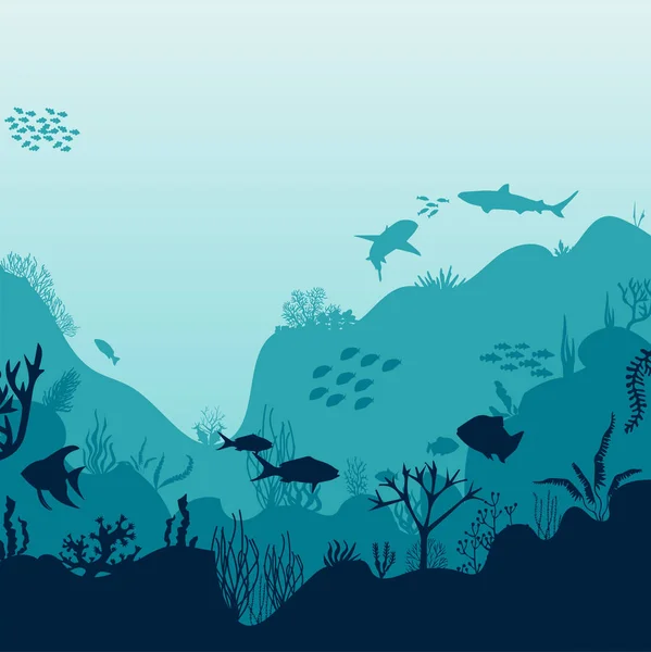 Marine ecosystem drawn out Stock Photos, Royalty Free Marine ecosystem ...