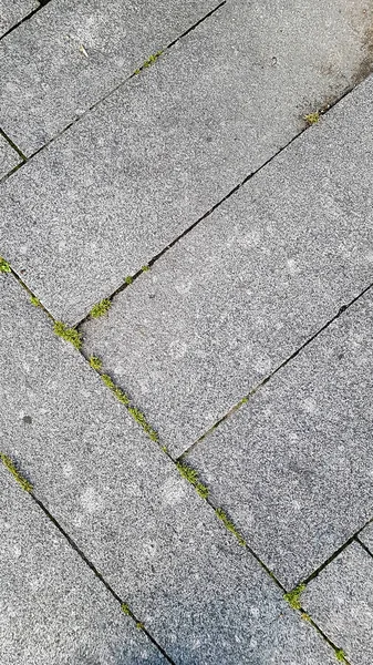 Seta de pavimento Stock Photos, Royalty Free Seta de pavimento Images ...