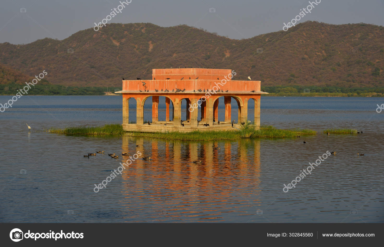 Jal Mahal in Jaipur, Rajasthan, India Stock Photo by ©phuongphoto 302845560