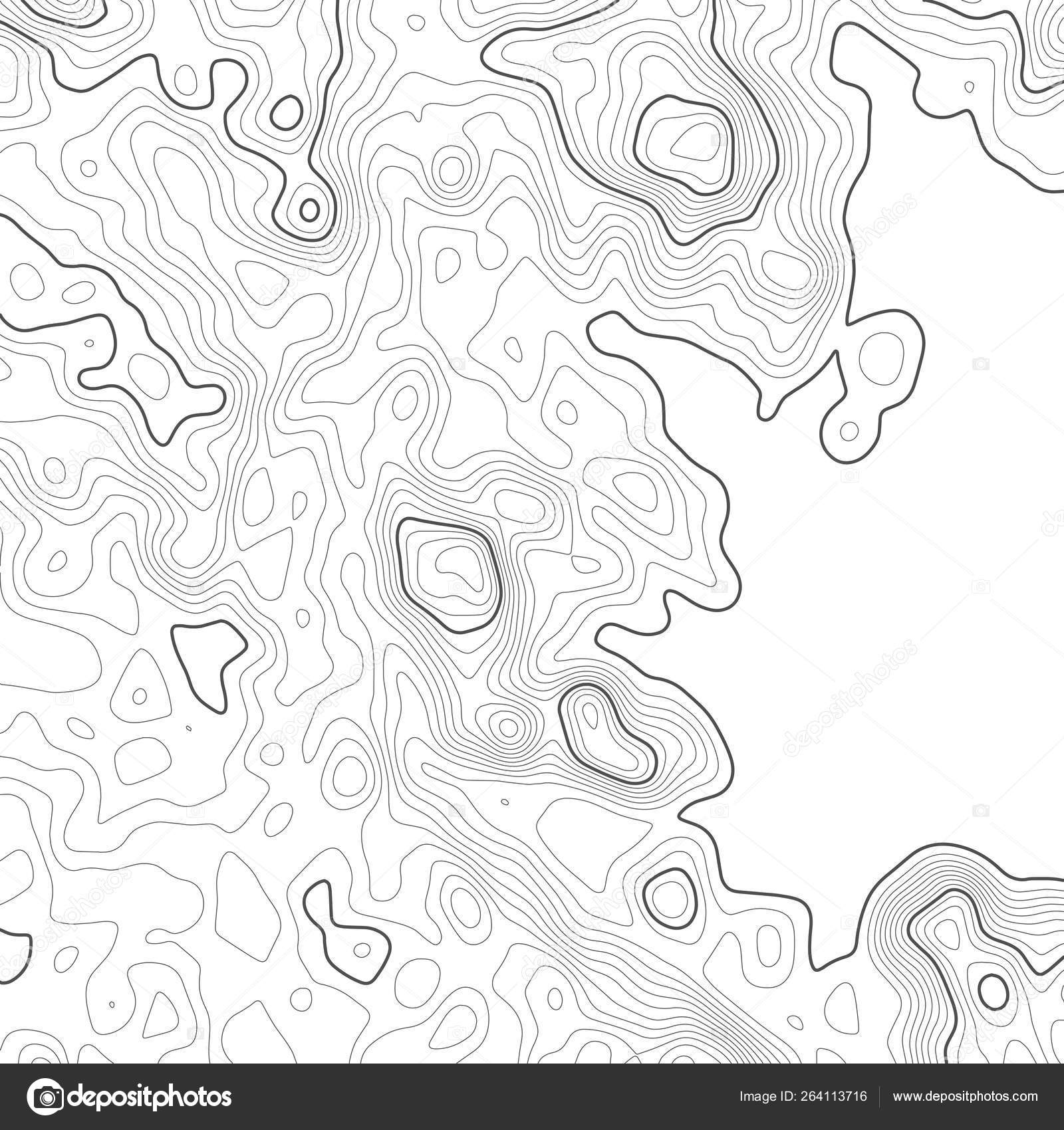 Topographic map background. Grid map. Vector illustration . Stock ...