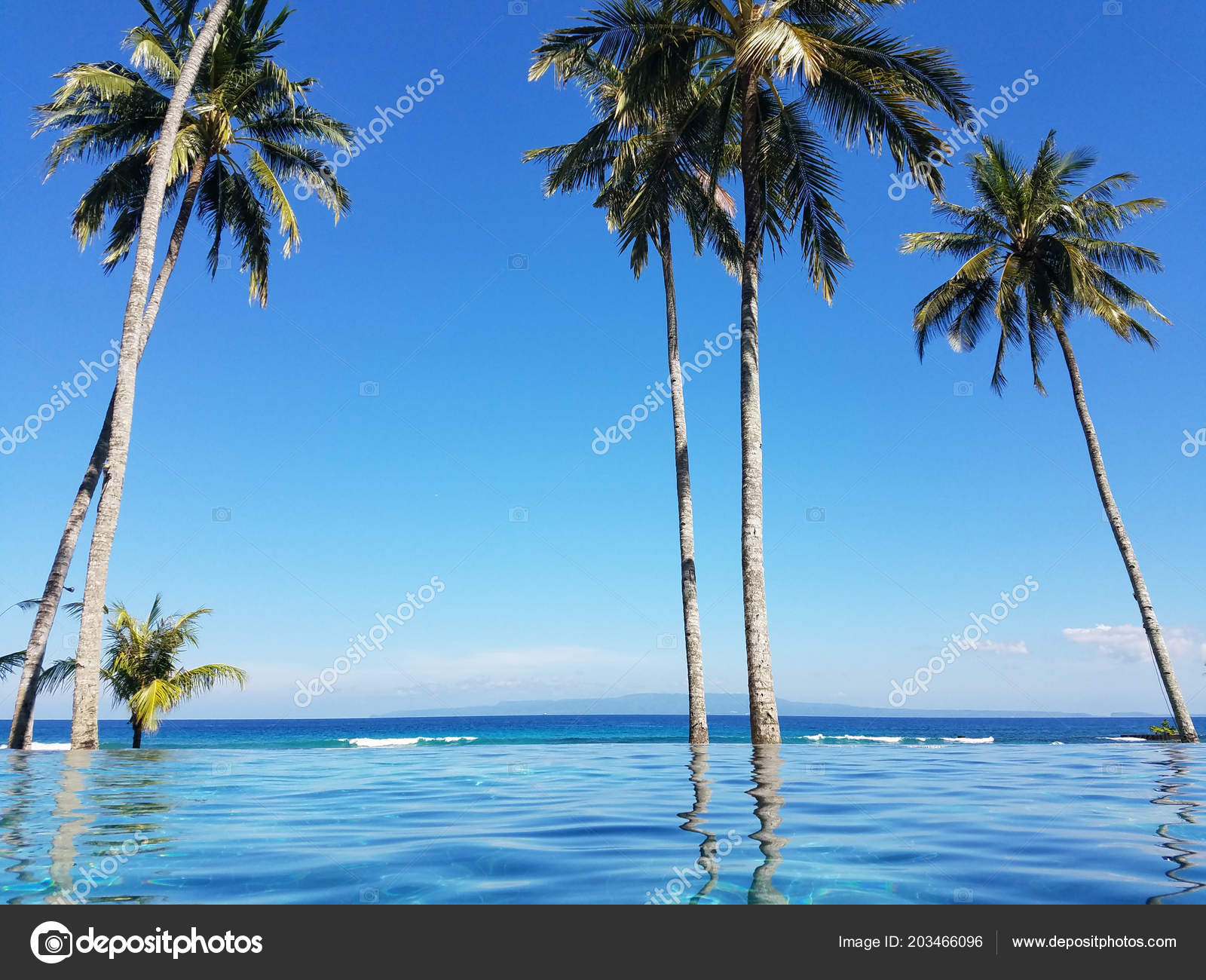 Palm Trees Reflected Infinity Pool Overlooking Indian Ocean Resort Candidasa — Stock Photo ...