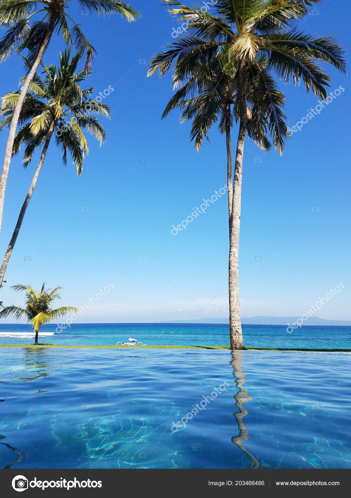 Palm Trees Reflected Infinity Pool Overlooking Indian Ocean Resort Candidasa Stock Photo by ...