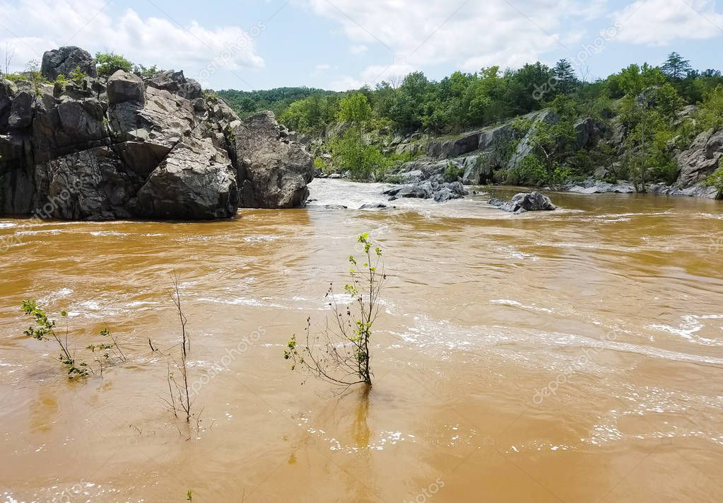 El río Potomac con aguas fangosas hinchadas por fuertes lluvias, en las ...