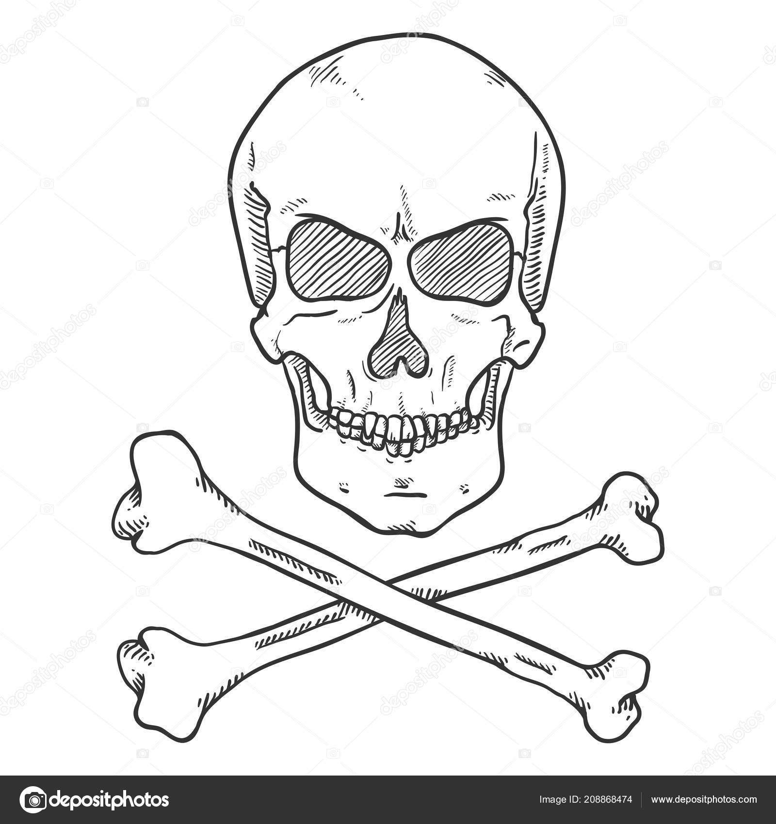 Human Skull Cross Bones White Background Stock Vector Image by ...