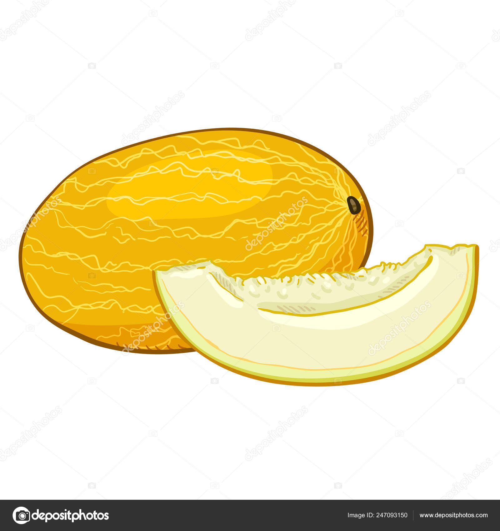 Animated Melon