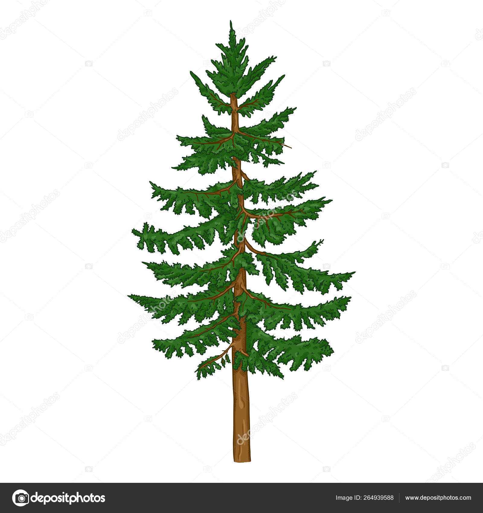 Animated Evergreen Trees