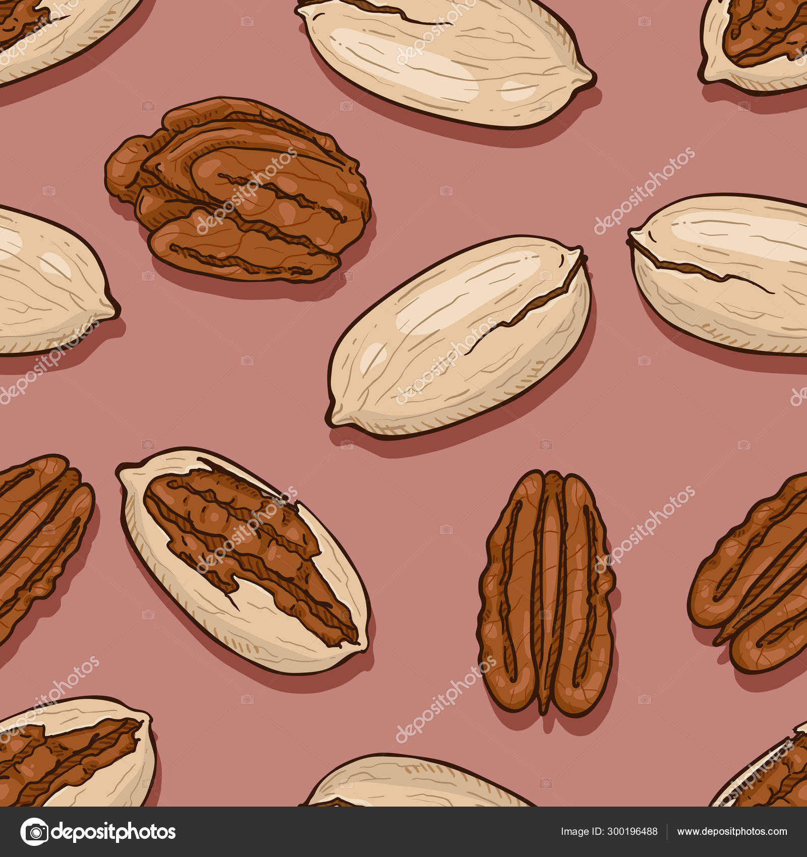 Pecan Vector