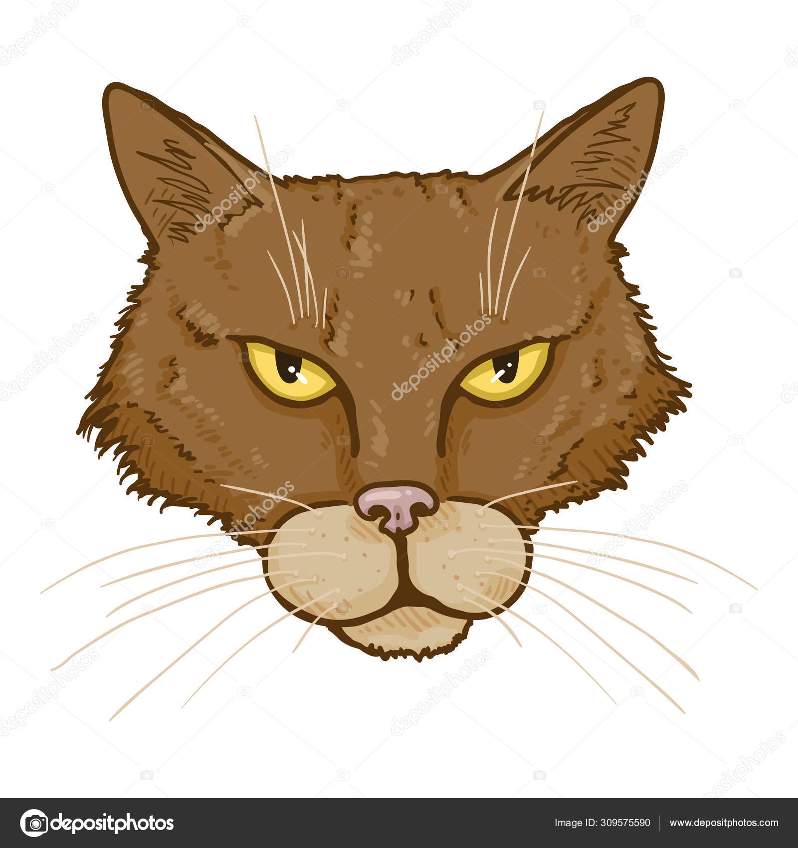 Vector Cartoon Stray Cat Portrait. Feline Face Illustration. Stock ...
