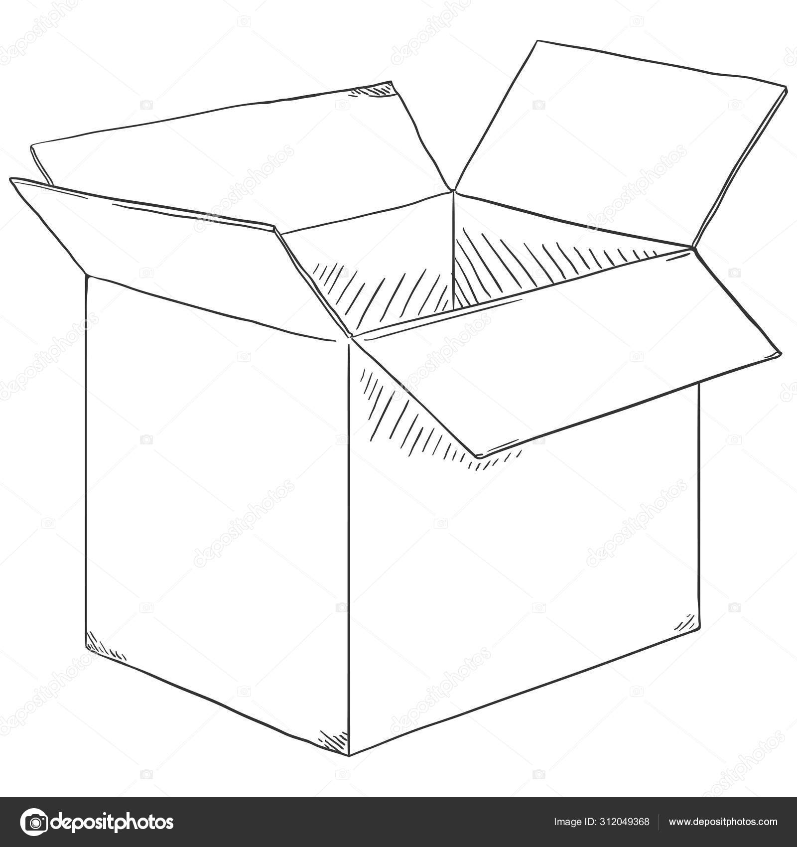 Vector Sketch Open Cubicle Cardboard Box Stock Vector Image by ...