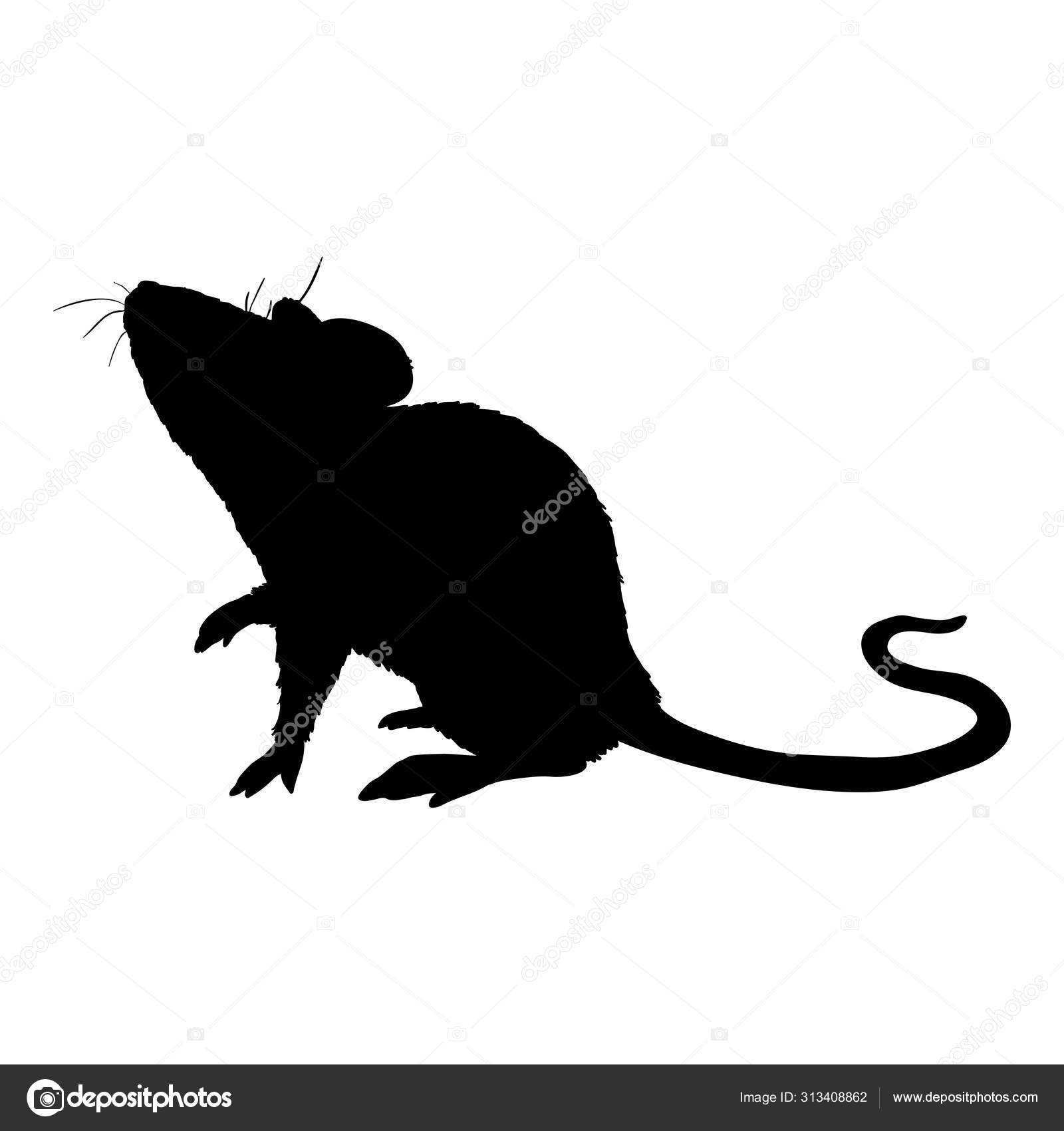 Mus Silhuett