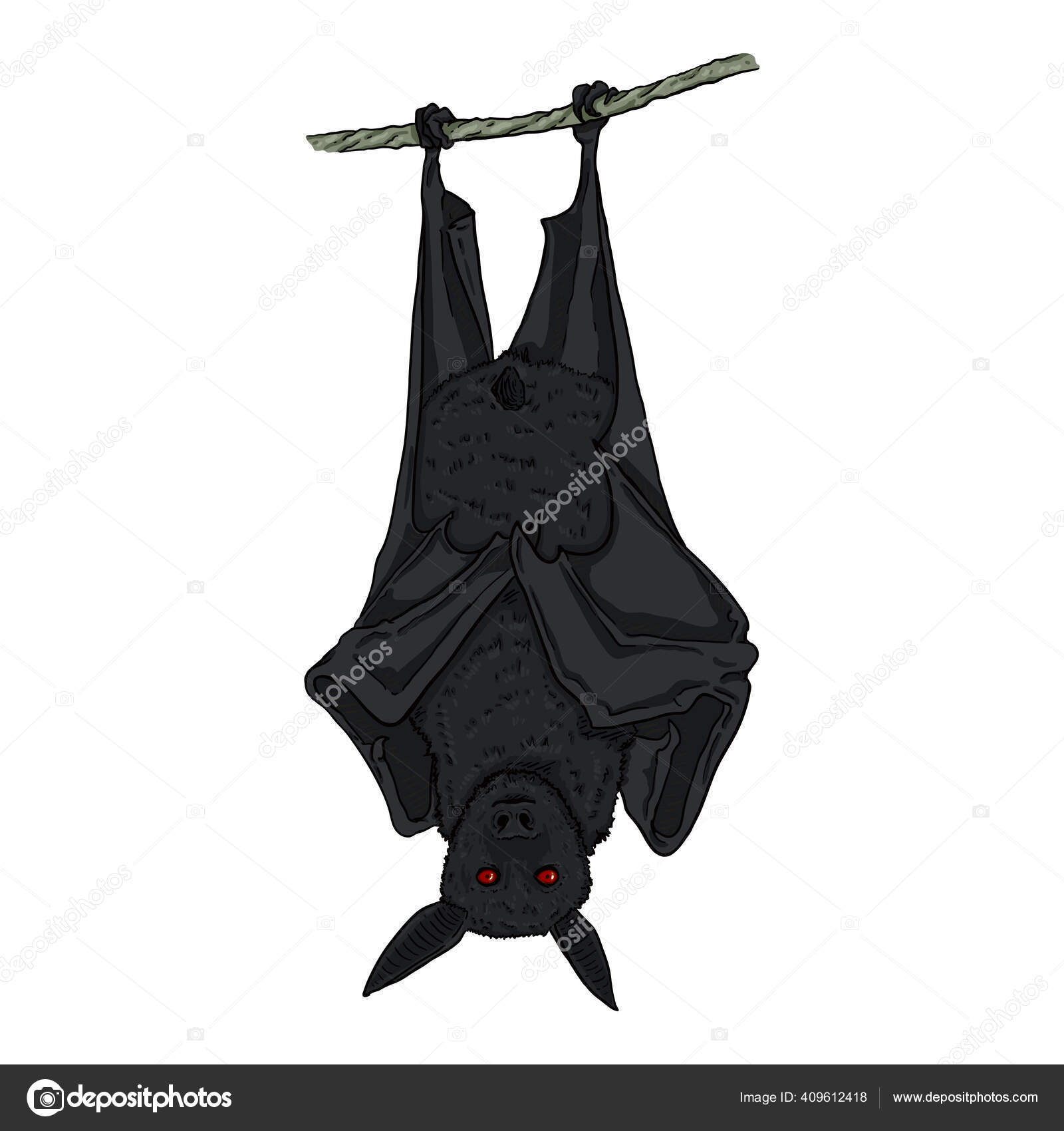 Bat Hanging Upside Down Drawing Sleeping Bats Sketch Engraving Vector